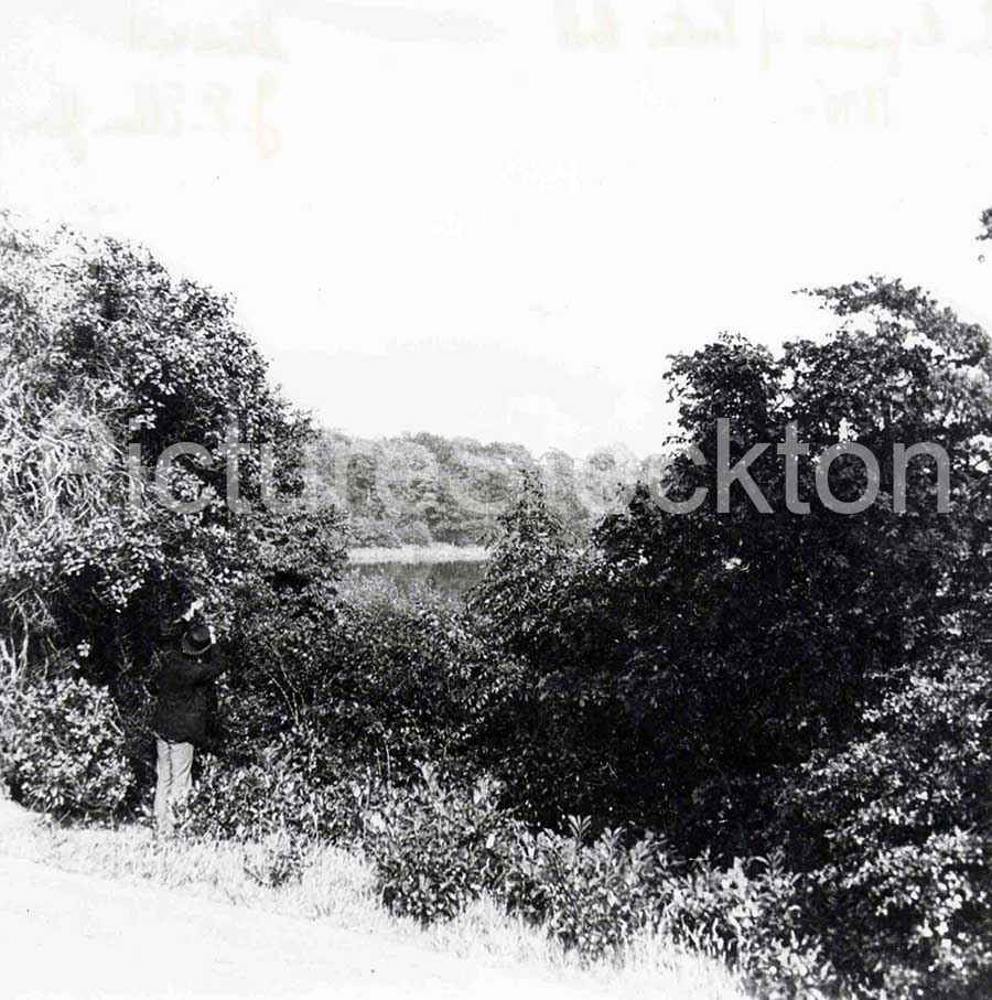 The grounds of Preston Park c1890 | Picture Stockton Archive