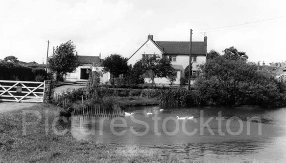 The pond at Wolviston | Picture Stockton Archive
