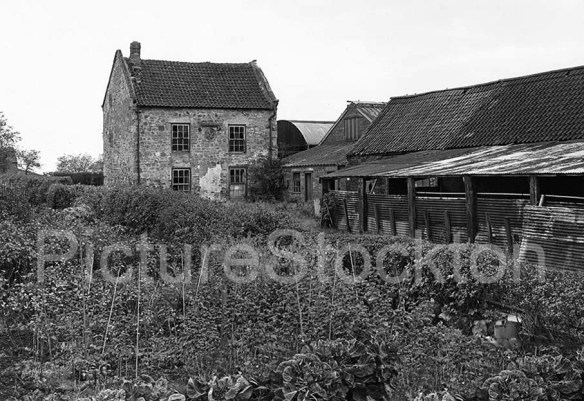 March | 2015 | Picture Stockton Archive