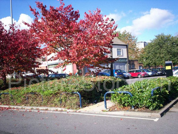 Bath Lane, Stockton c2015 | Picture Stockton Archive