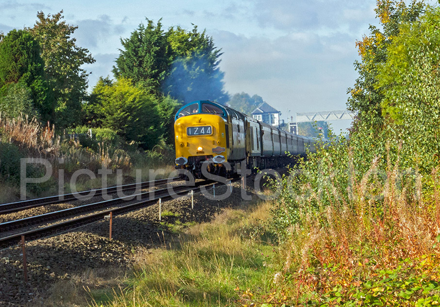 Class 55 locomotive D9009, Norton | Picture Stockton Archive