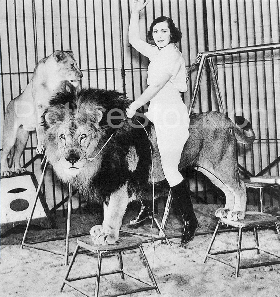 Hip! Hip! Zoo-Ray! Globe c1937 | Picture Stockton Archive