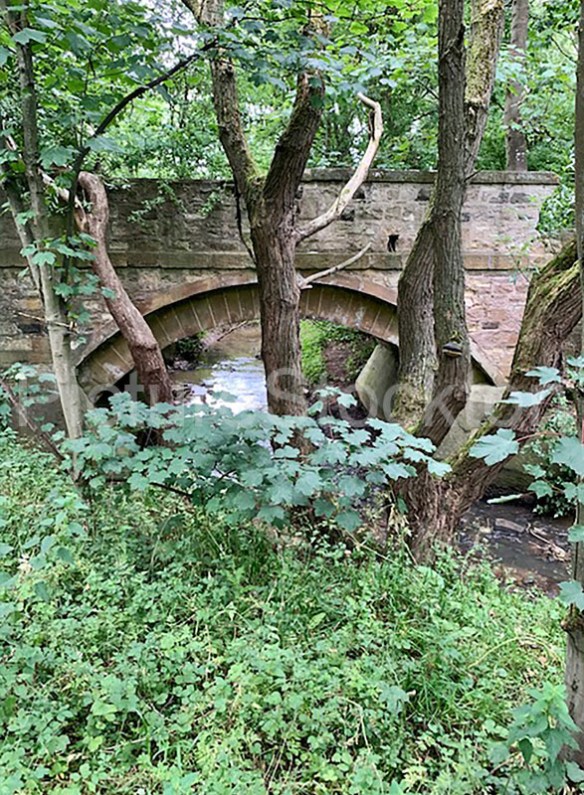 Old Coatham Bridge c2020 | Picture Stockton Archive
