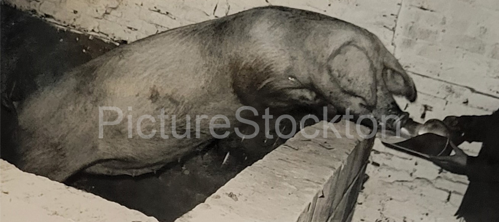 Witham Hall, Eaglescliffe (1968 – 1973) | Picture Stockton Archive